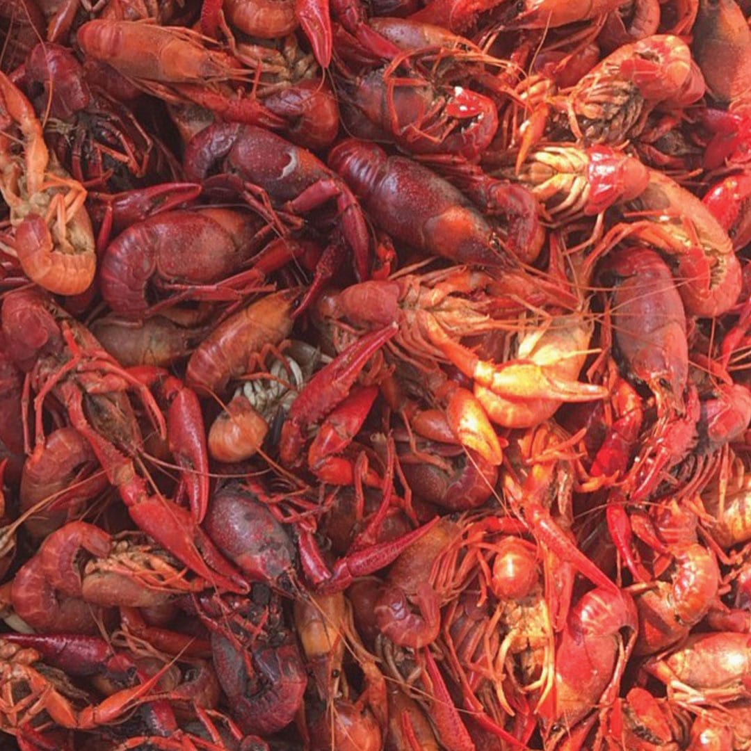 Dallas Farmers Market | Fun Things To Do in Dallas TX | Cultivating Life!