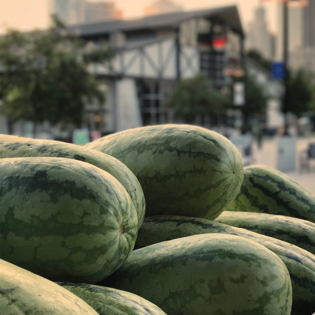 Watermelon - Dallas Farmers Market