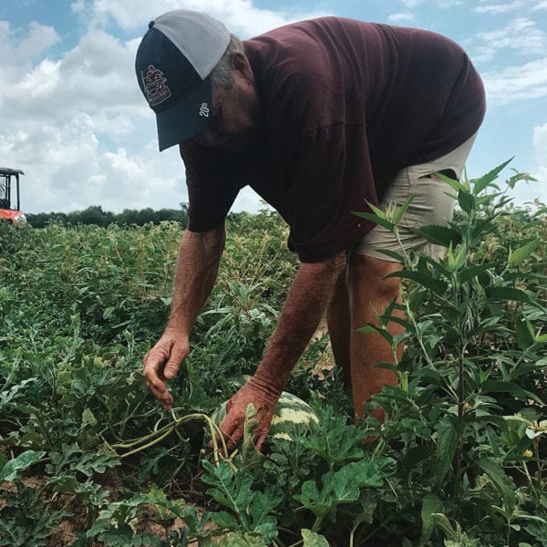Farm Visits - Dallas Farmers Market
