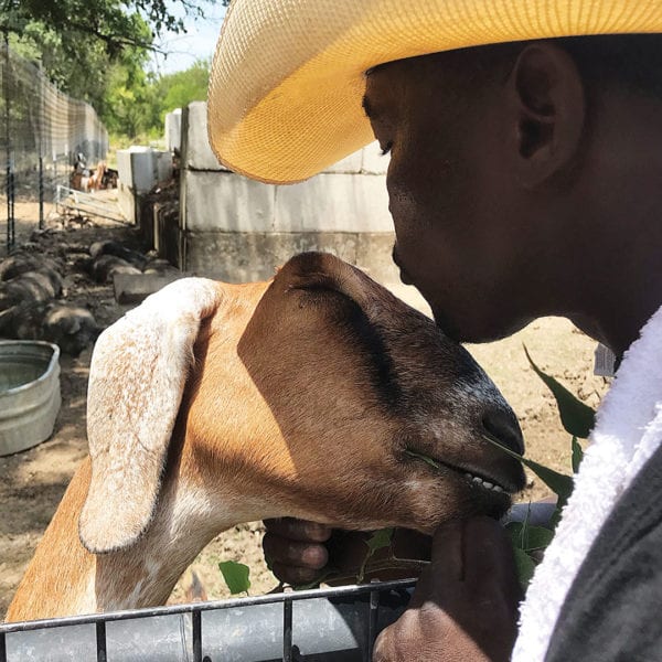 Farm Visits - Dallas Farmers Market