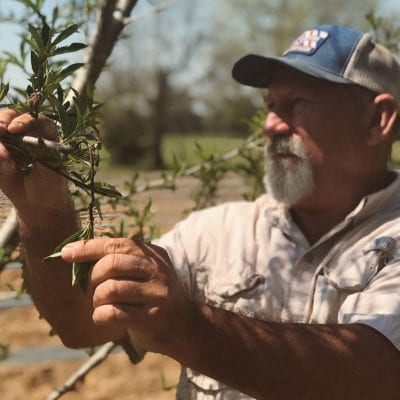 Farm Visits - Dallas Farmers Market