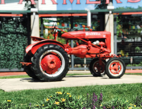 How to Spend 12 Hours in Downtown Dallas - Dallas Farmers Market