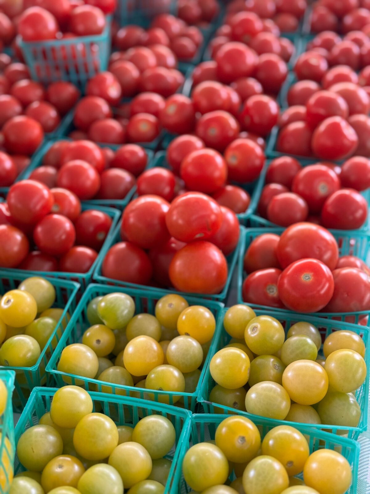 The Shed - Dallas Farmers Market
