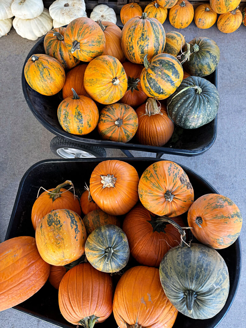 The Shed - Dallas Farmers Market