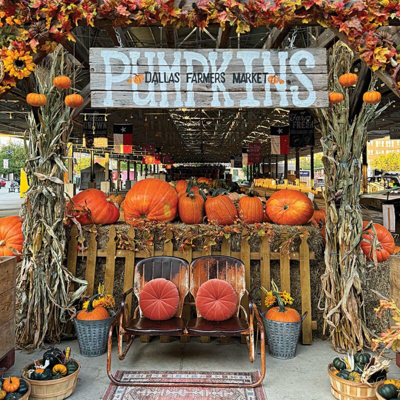 Dallas Farmers Market | Fun Things To Do in Dallas TX | Cultivating Life!