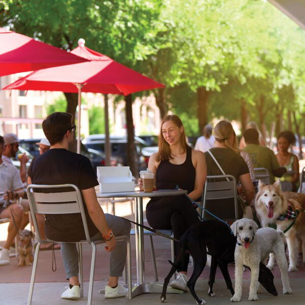 Dallas Farmers Market | Fun Things To Do in Dallas TX | Cultivating Life!