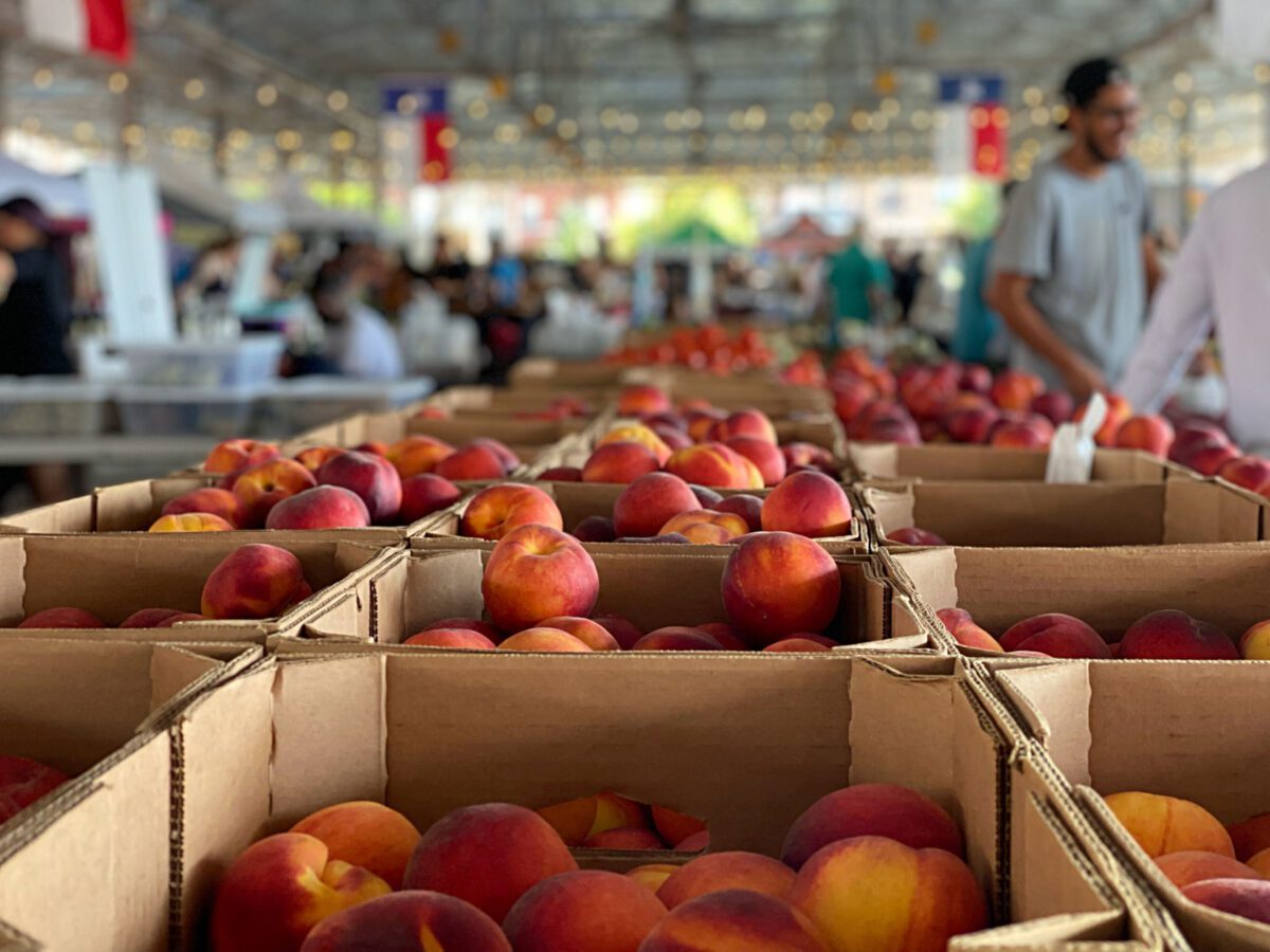 The Shed - Dallas Farmers Market